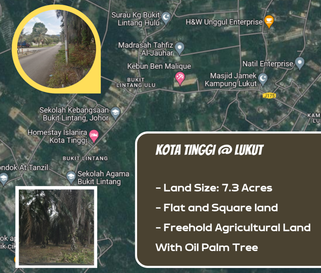 Kota Tinggi Land For Sale @ Bukit Lintang,Jalan Lukut Super Offer Sale ...